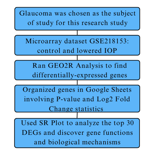 Exploring the Genetics of Glaucoma through Bioinformatics Research ...