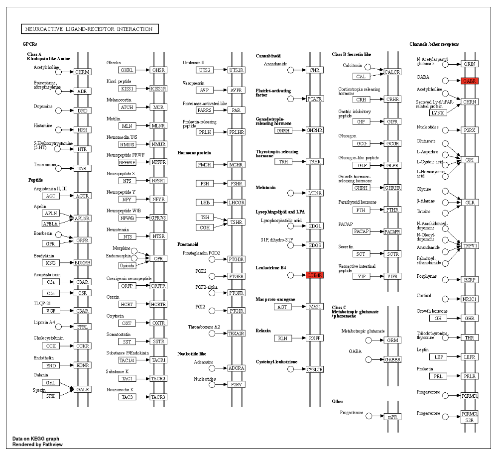 Using Bioinformatics Tools to Analyze the Differentially Expressed ...